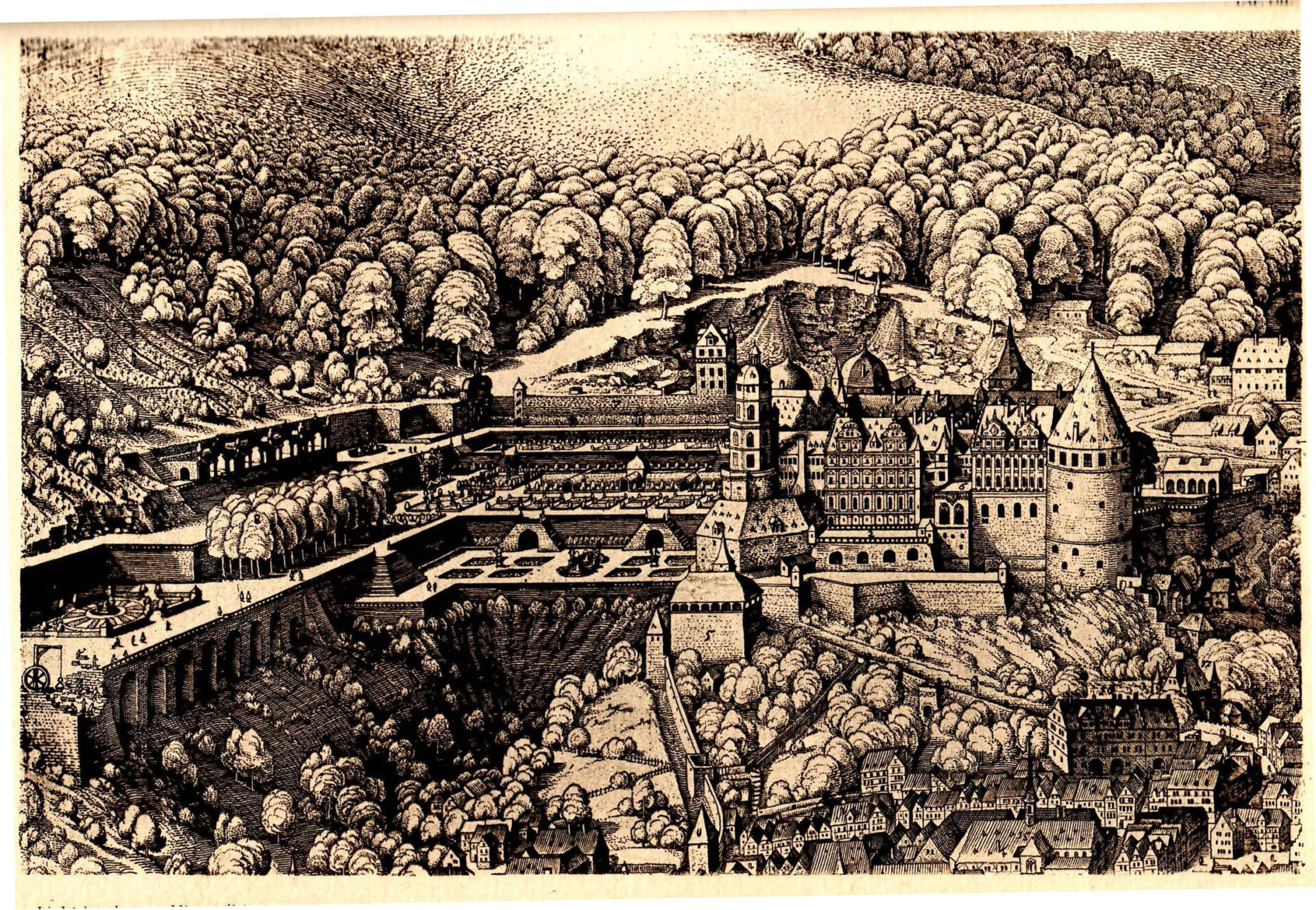 Matthaeus Merian in Heidelberg